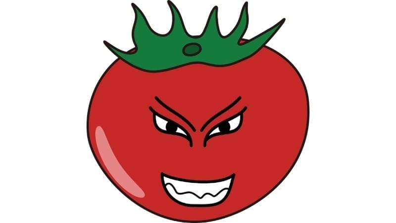 When the Tomato Came to Europe: Feared Poisonous at First